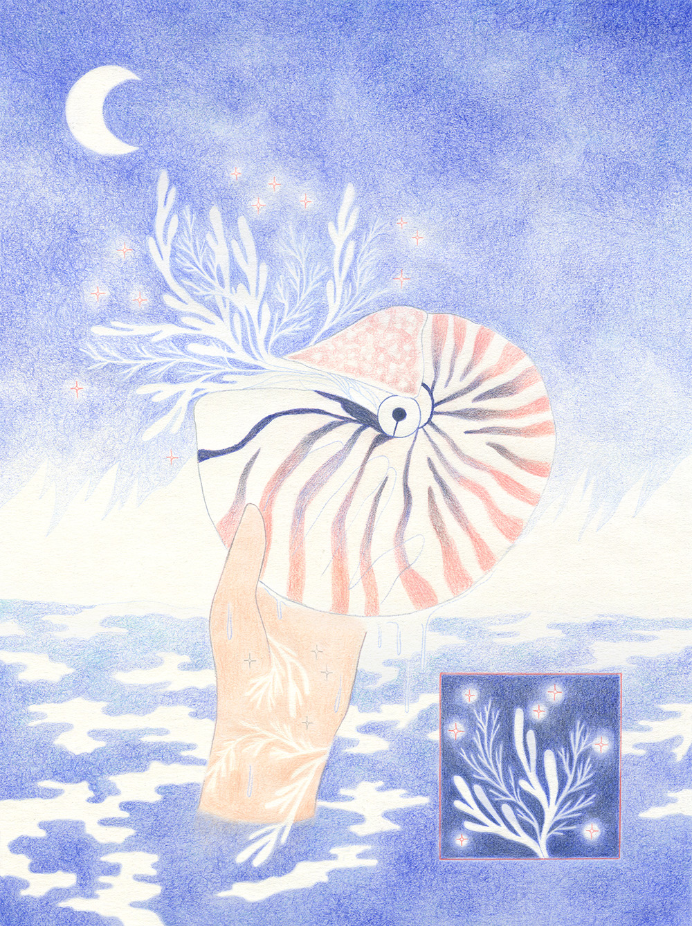 Salomé Garraud - Fantôme de nautile (original) - Galerie Wyrd